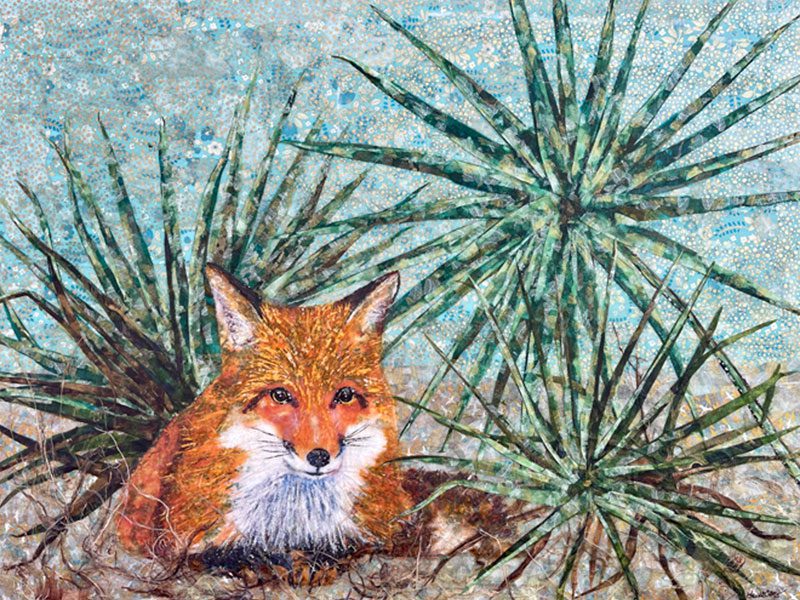 On the Edge: Our Maritime Forests | Lowcountry Weekly