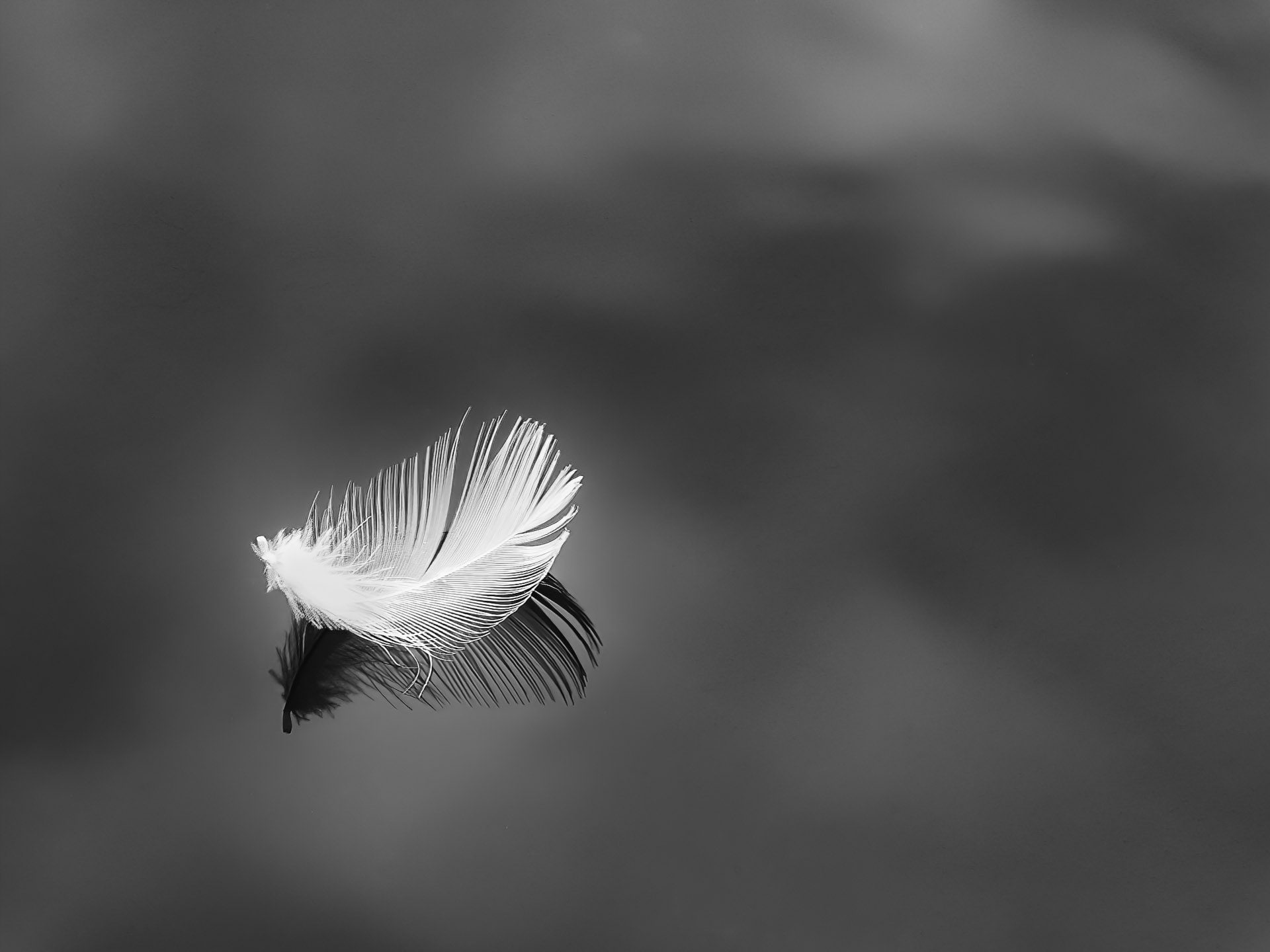 Photo Club Spring Competition Winners | Lowcountry Weekly