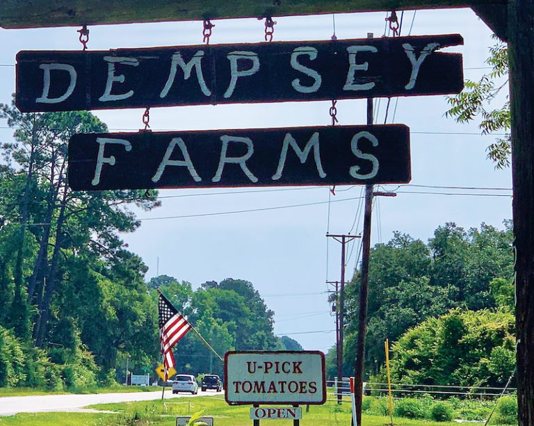 BLT Social at Dempsey Farms | Lowcountry Weekly