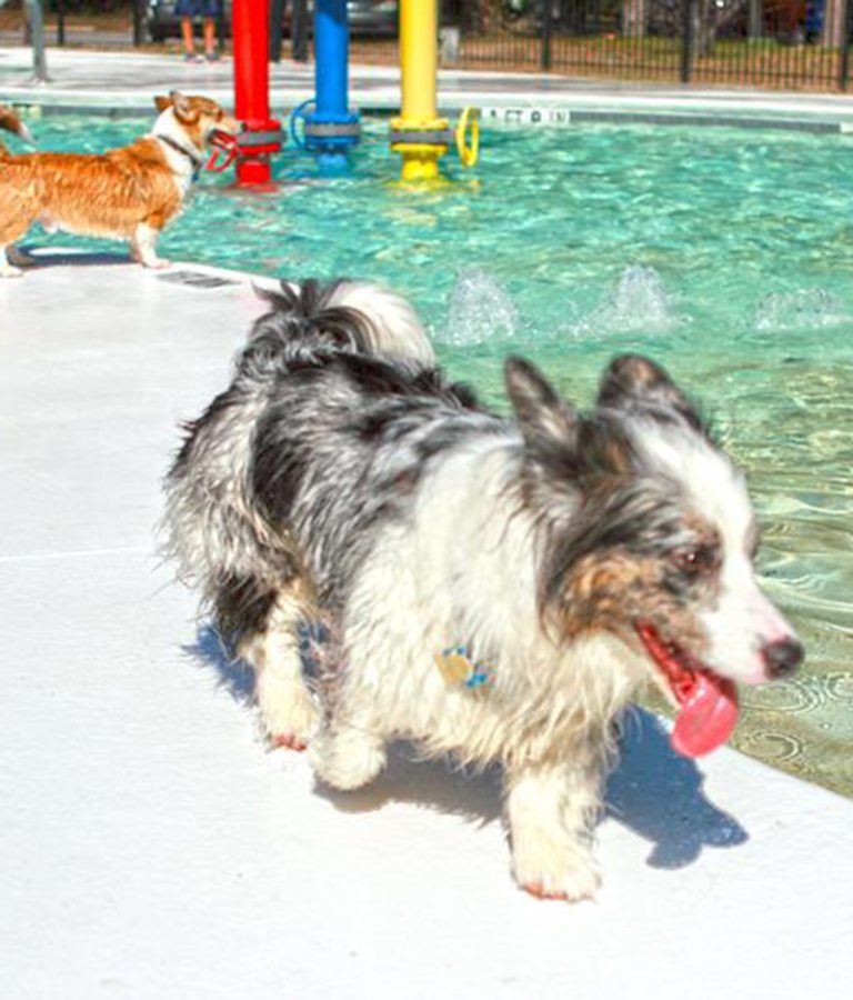 Splashing Good Time! | Lowcountry Weekly