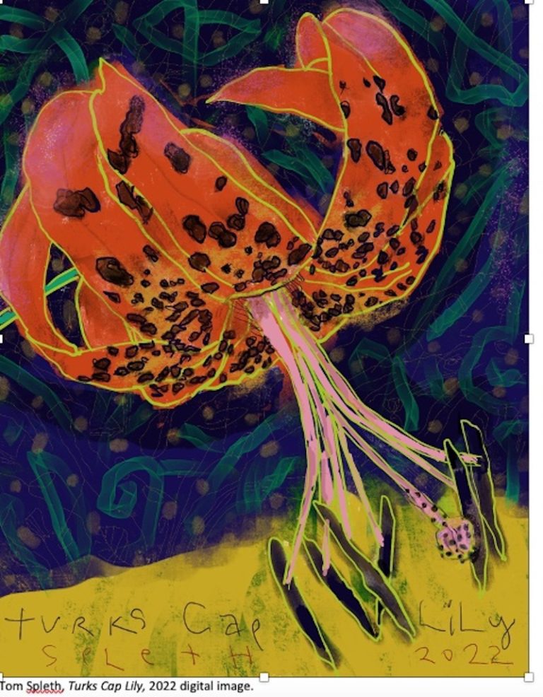 On the Edge of a Forest | Lowcountry Weekly