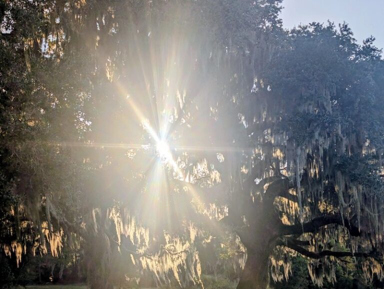 A New Year’s Wish | Lowcountry Weekly